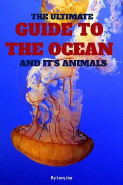 Book Creator | GUIDE TO THE OCEAN AND IT'S ANIMALS