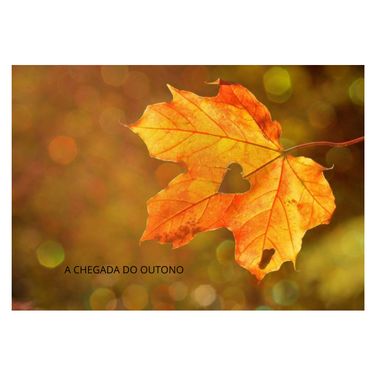 Book Creator | A Chegada do Outono