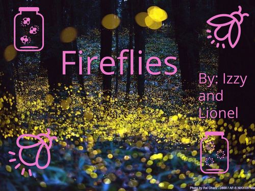 Book Creator | Fireflies