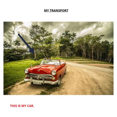 Book Creator | TRANSPORT: MY CAR