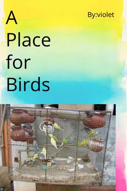 Book Creator | A Place for Birds