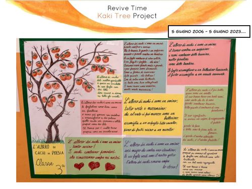 Book Creator | The kaki tree project 2006-2023...