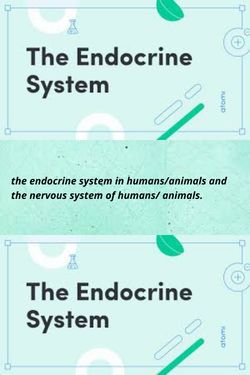 Book Creator | The Nervous and Endocrine systems in humans/animals