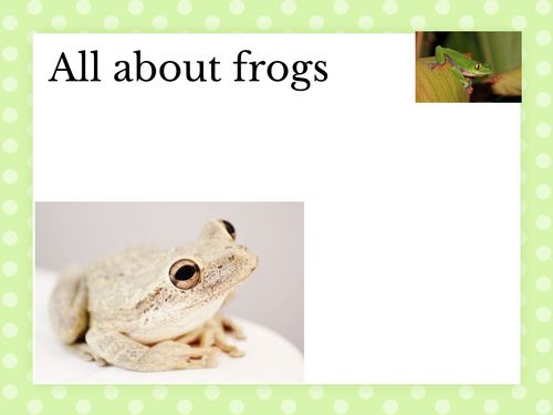 Book Creator | Frogs