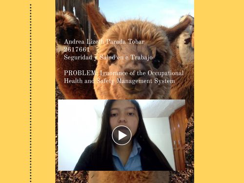 Book Creator | Problem and Solution