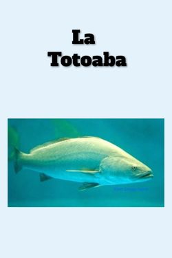 Book Creator | La totoaba