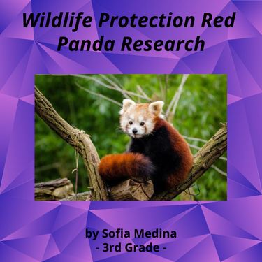 Book Creator | Red Panda