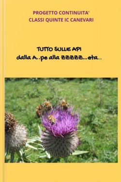 Book Creator | TUTTO SULLE API dalla A..pe alla ZZZZZ...eta...