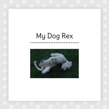 Book Creator | My Dog Rex
