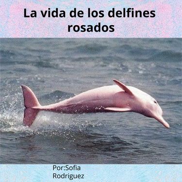 Book Creator | La vida de los delfines rosados
