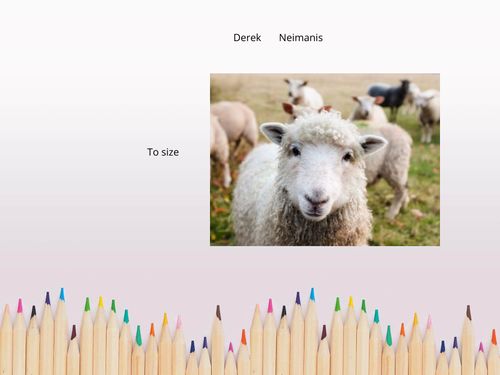 Book Creator | Sheep