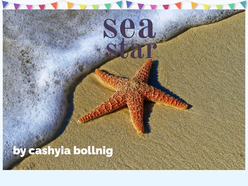 Book Creator | Starfish