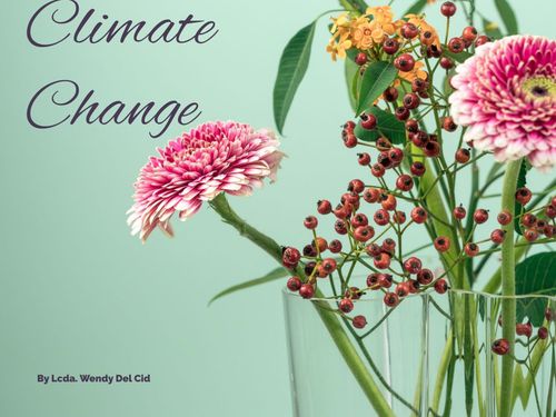 Book Creator | Climate Change vocabulary