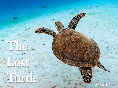 Book Creator | The Lost Turtle