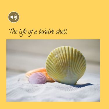 Book Creator | The Life of Bivalve Shell