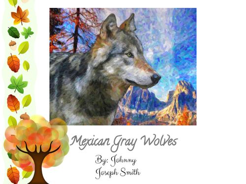 Book Creator | Mexican Gray Wolves