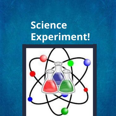 Book Creator | Science Experiment