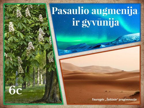 Book Creator | 6c Pasaulio augalija ir gyvūnija