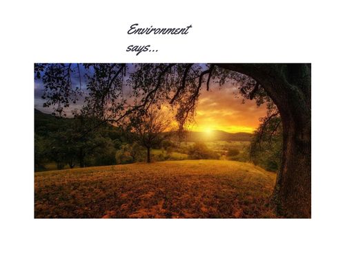 Book Creator | Environment says...