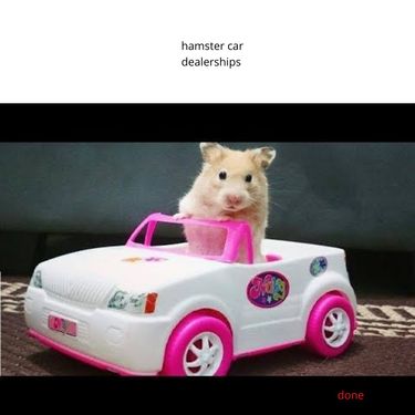 Book Creator | Hamster car dealership