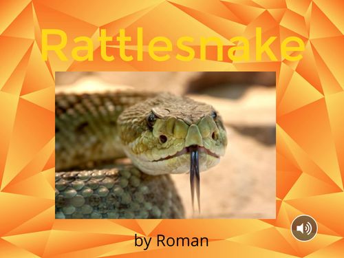 Book Creator | Rattlesnake