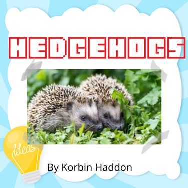 Book Creator | Hedgehogs