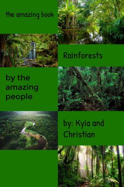 Book Creator | The Amazing Book Rainforest By Christian Kurth