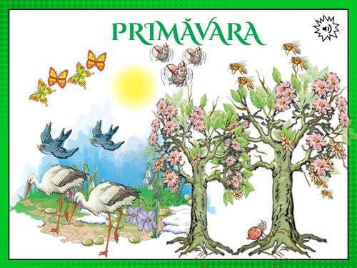 Book Creator | PRIMAVARA