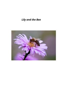 Book Creator | lily