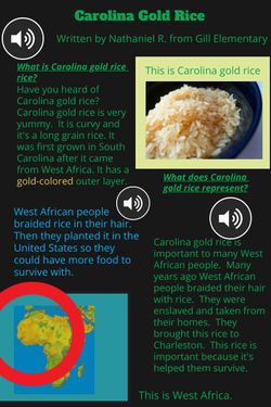 Book Creator | Carolina Gold Rice