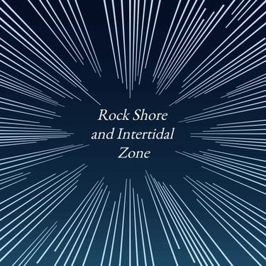 Book Creator | Rockt vs Soft Bottom Intertidal Zone Project