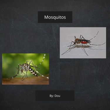 Book Creator | Mosquitoes