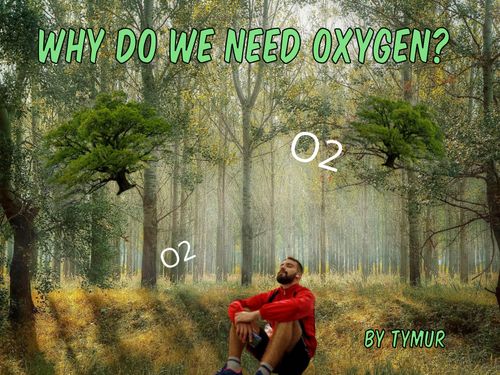 Book Creator | Why do we need oxygen?
