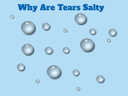 Book Creator | Why Are Tears Salty