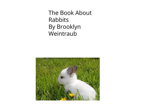 Book Creator | Rabbits