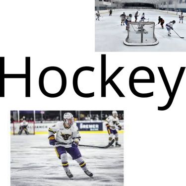 Book Creator | Hockey