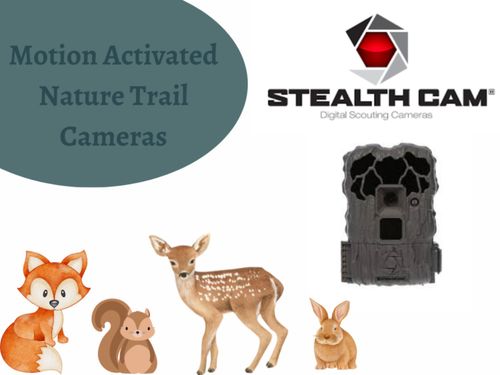 Book Creator | (copy) Stealth Cam Trail Cameras