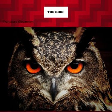 Book Creator | The birds