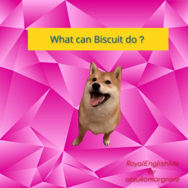 Book Creator | What can Biscuit do?