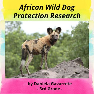 Book Creator | African Wild Dog Protection Research