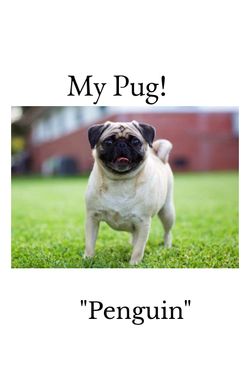Book Creator | My Pug Penguin