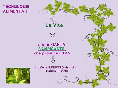 Book Creator | tecniche alimentari