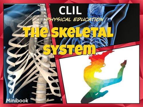 Book Creator | CLIL Physical Education - The skeletal system