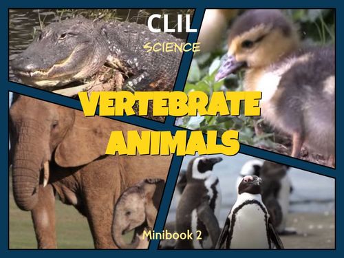Book Creator | CLIL science - Vertebrate animals 2