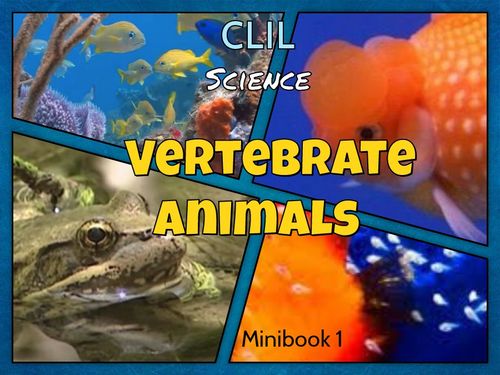 Book Creator | CLIL science - Vertebrate animals