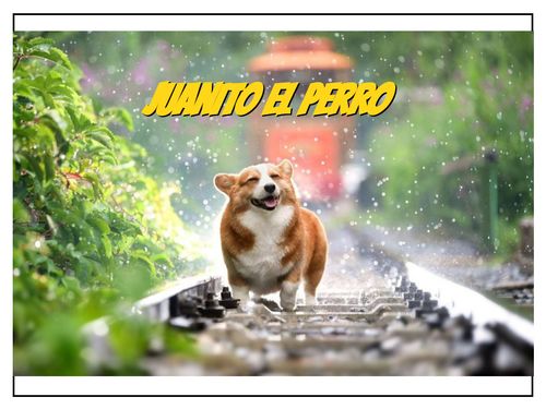 Book Creator | juanito el perro