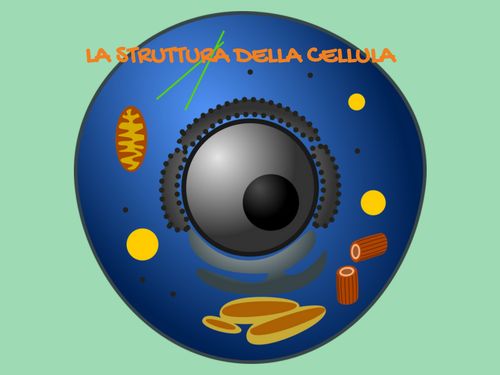 Book Creator | la struttura della cellula