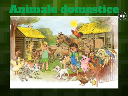 Book Creator | Animale domestice