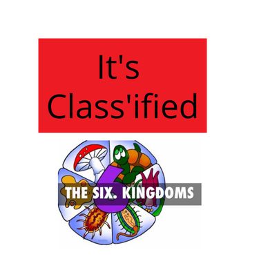 Book Creator | It's Classified