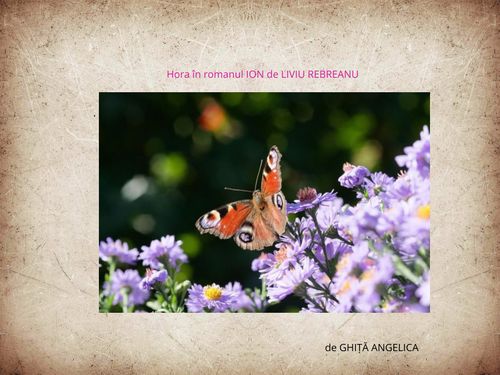 Book Creator | Hora în romanul Ion de Liviu Rebreanu